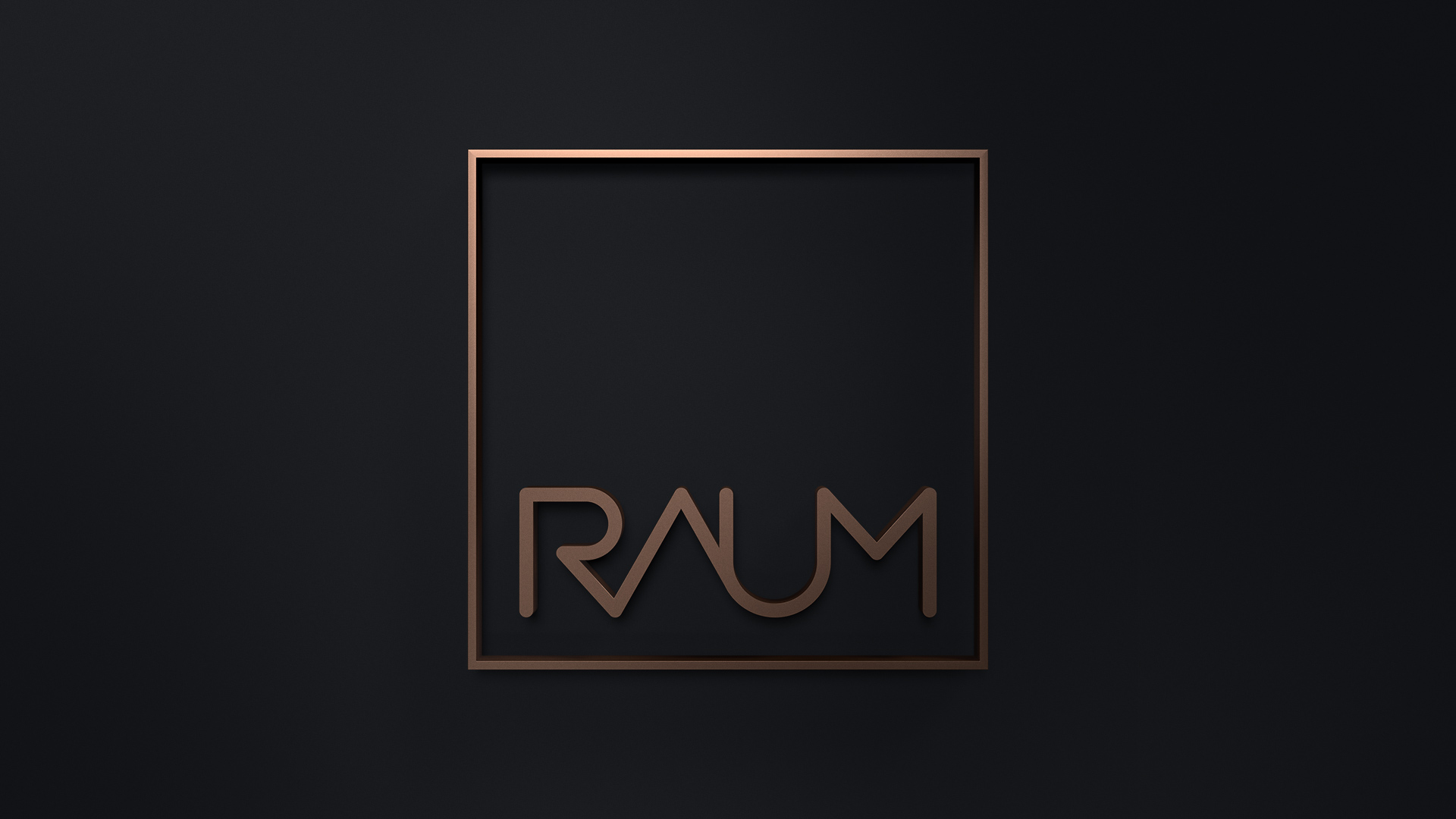 RAUM_Logo_on_bg - blanx